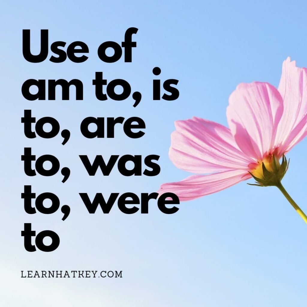 Use of am to, is to, are to, was to, were to in English grammar ...
