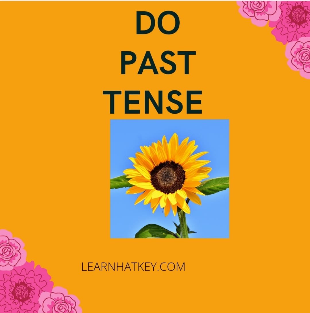Do Past Tense Past Tense Of Do Learnhatkey