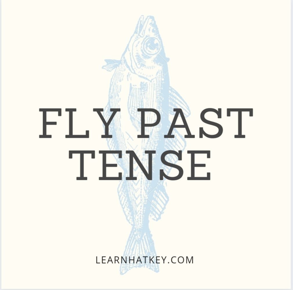 Fly Past Tense Past Tense Of Fly Learnhatkey Fly Past Tense Past Tense Of Fly Learnhatkey